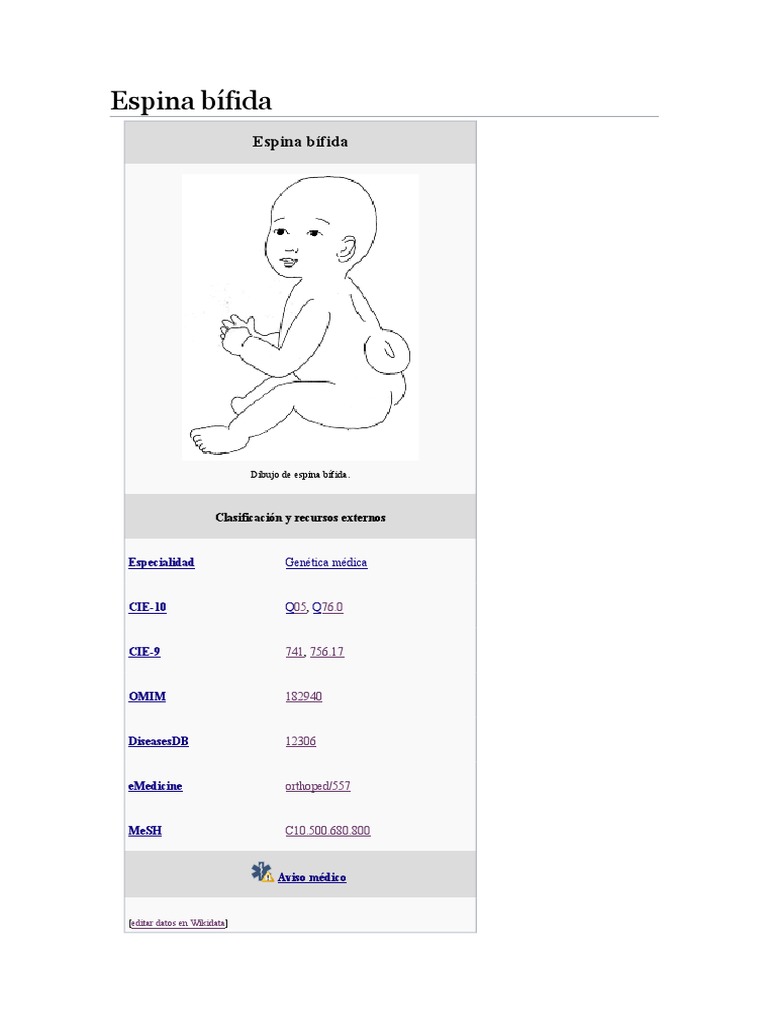 Espina Bífida | PDF | Neurología | Rtt