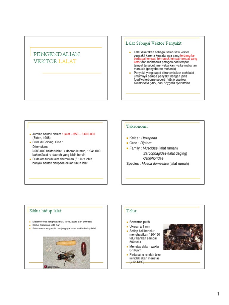 Pengendalian Vektor Lalat PDF | PDF
