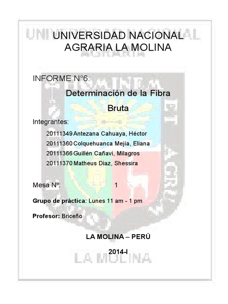 Fibra Bruta | PDF | Fibra dietética | Dieta y nutrición