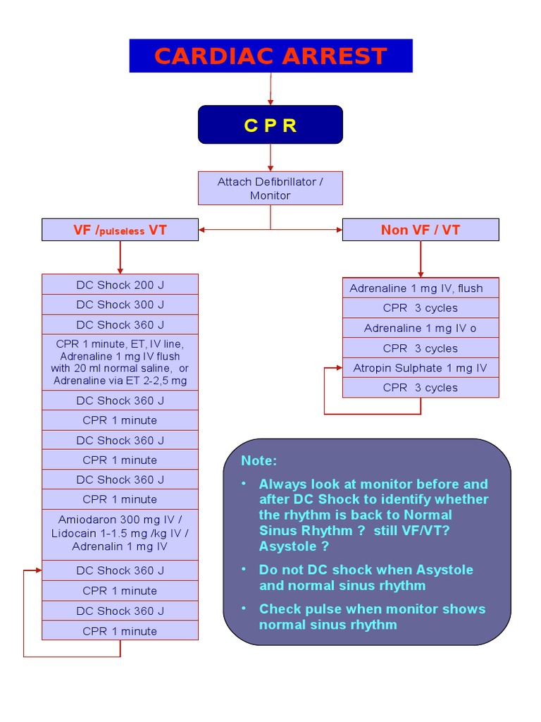 Cardiac Arrest Flow Chart (Rev) | PDF