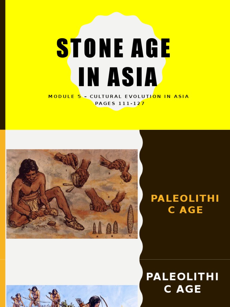Stone Age Cultural Evolution in Asia | PDF | Paleolithic | Stone Age
