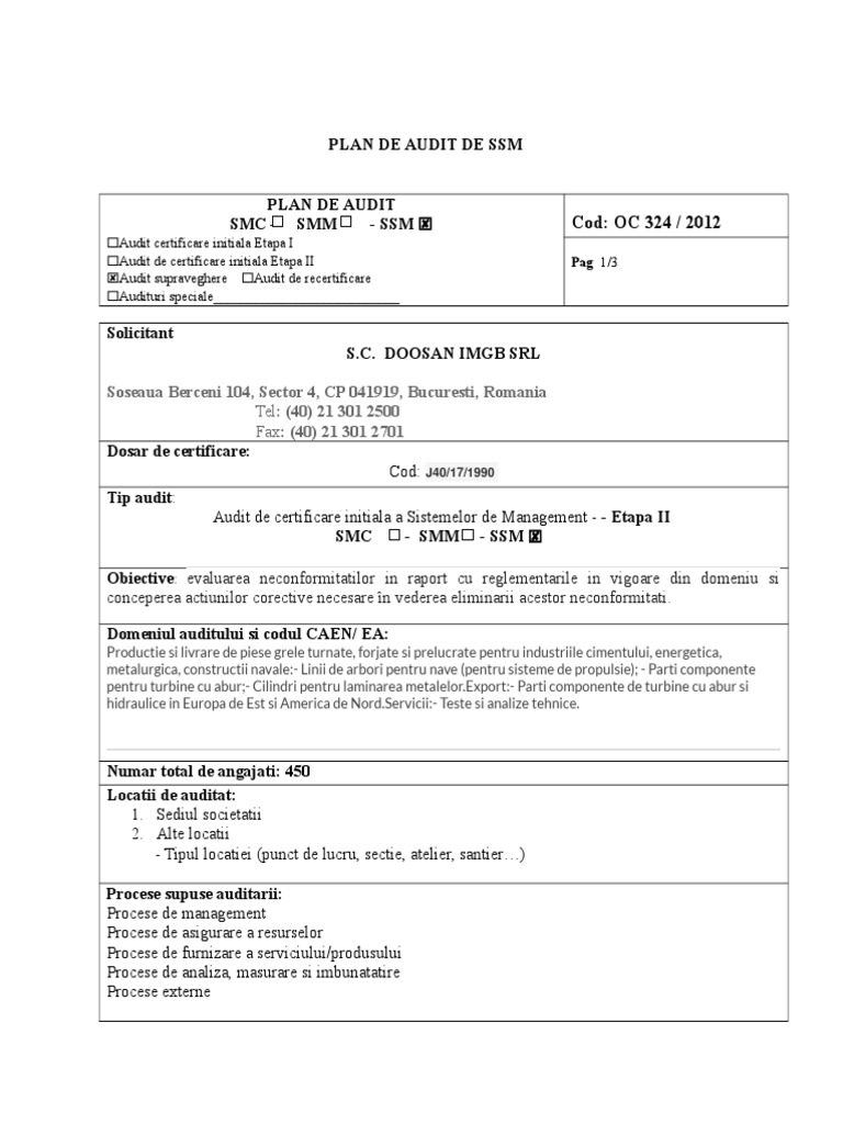 Plan Audit SSM | PDF