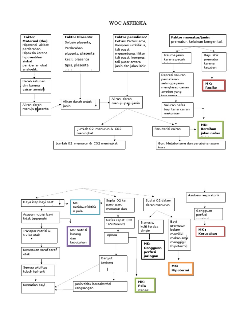 Woc Asfiksia | PDF