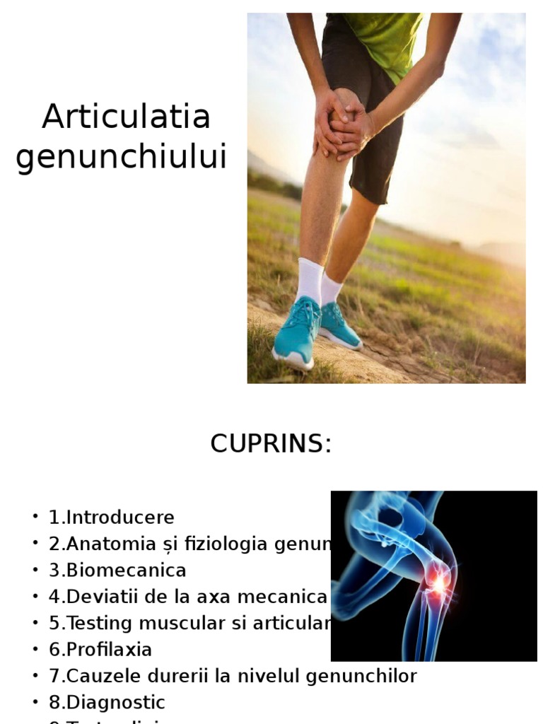 Articulatia Genunchiului | PDF