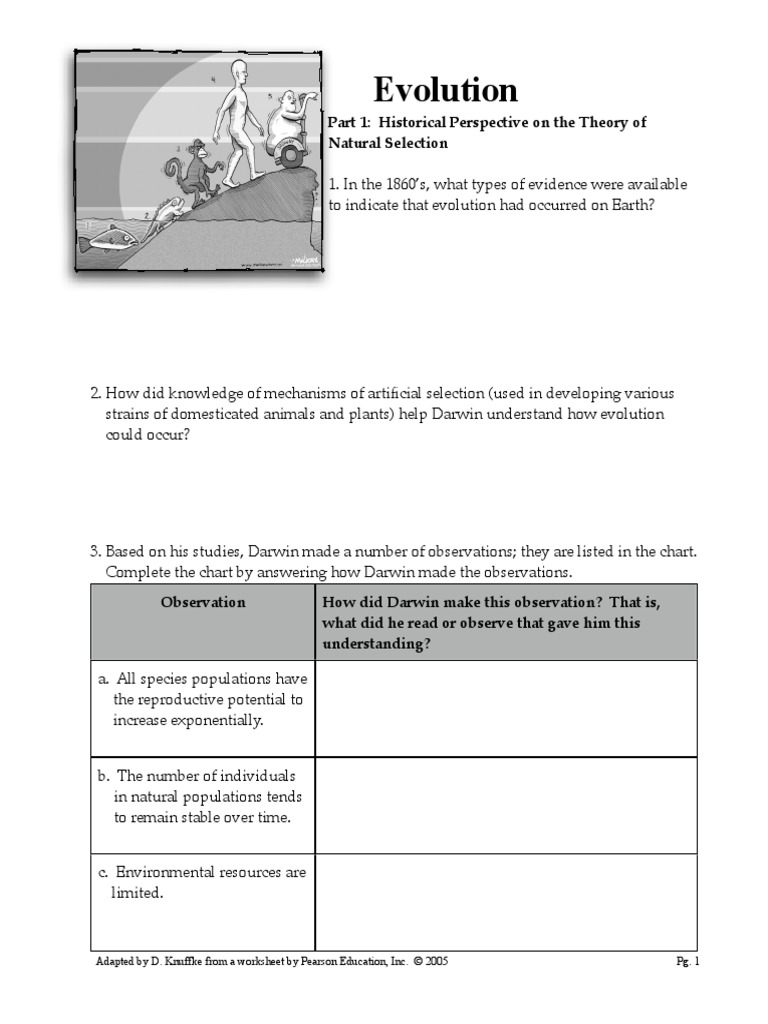 Worksheet - Evolution Packet | PDF | Natural Selection | Evolution