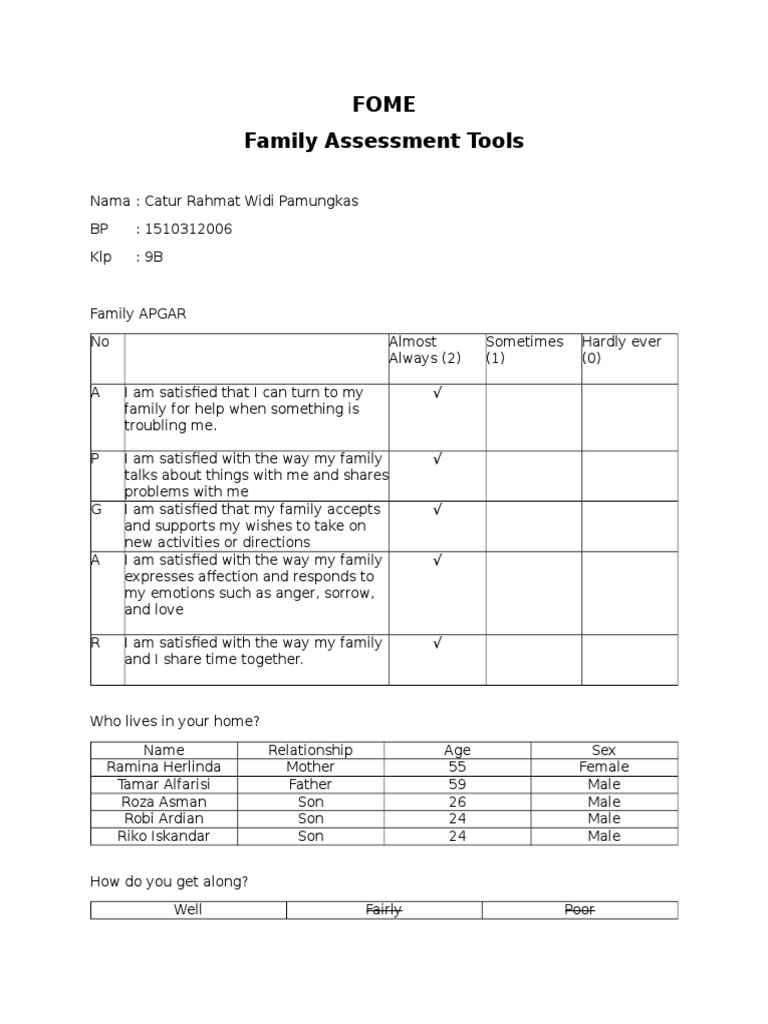 Fome Family Assessment Tools | PDF