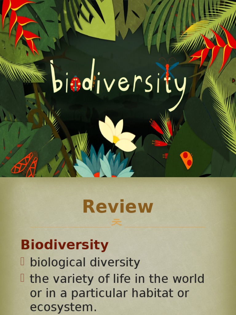 Biodiversity- Classification of Living Things | Taxonomy (Biology ...