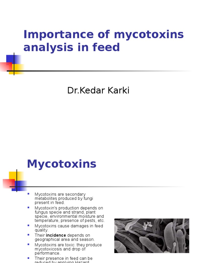 Importance of Mycotoxin's Analysis in | PDF | Mycotoxin | Fungus