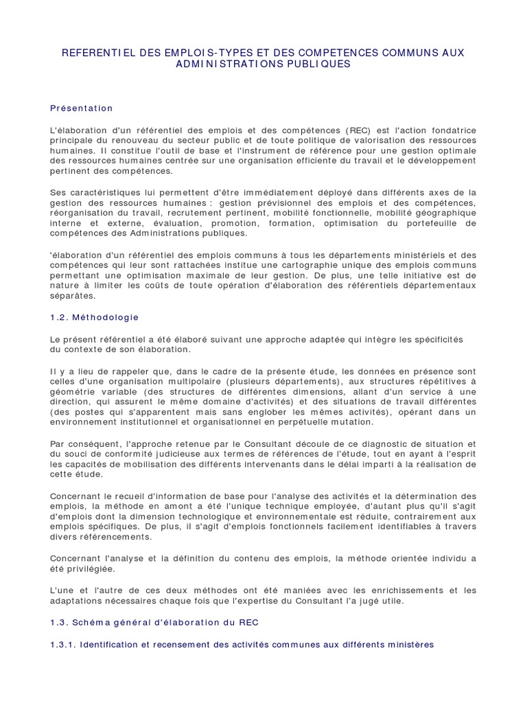 Presentation REC | PDF | Audit | Consultant