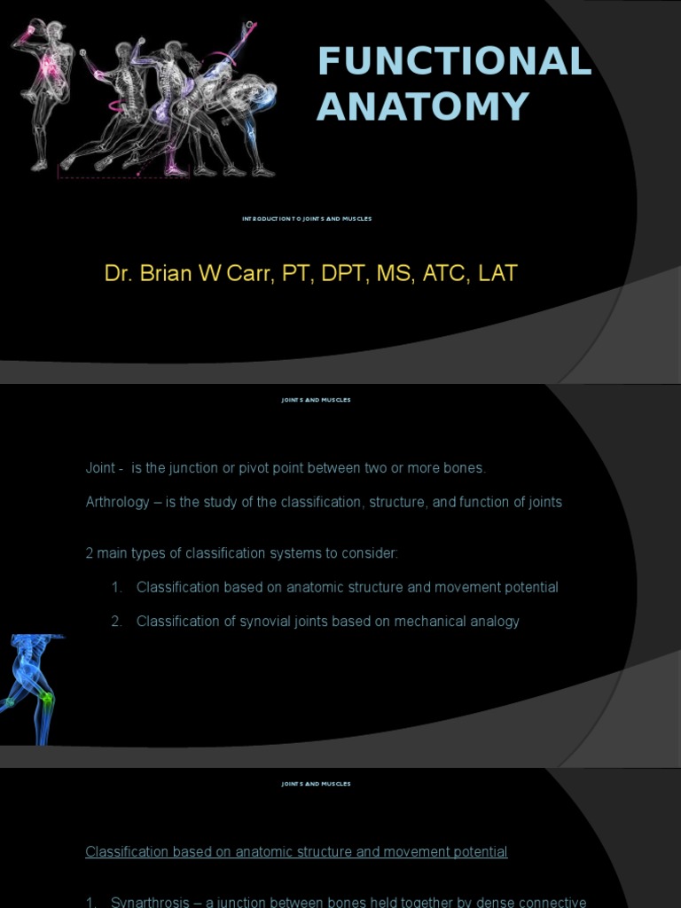 Functional Anatomy - Joints and Muscles | PDF | Joint | Muscle