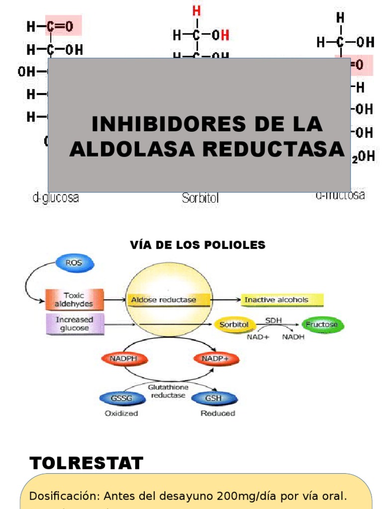 Inhibidores de La Aldolasa Reductasa | PDF | Salud y bienestar