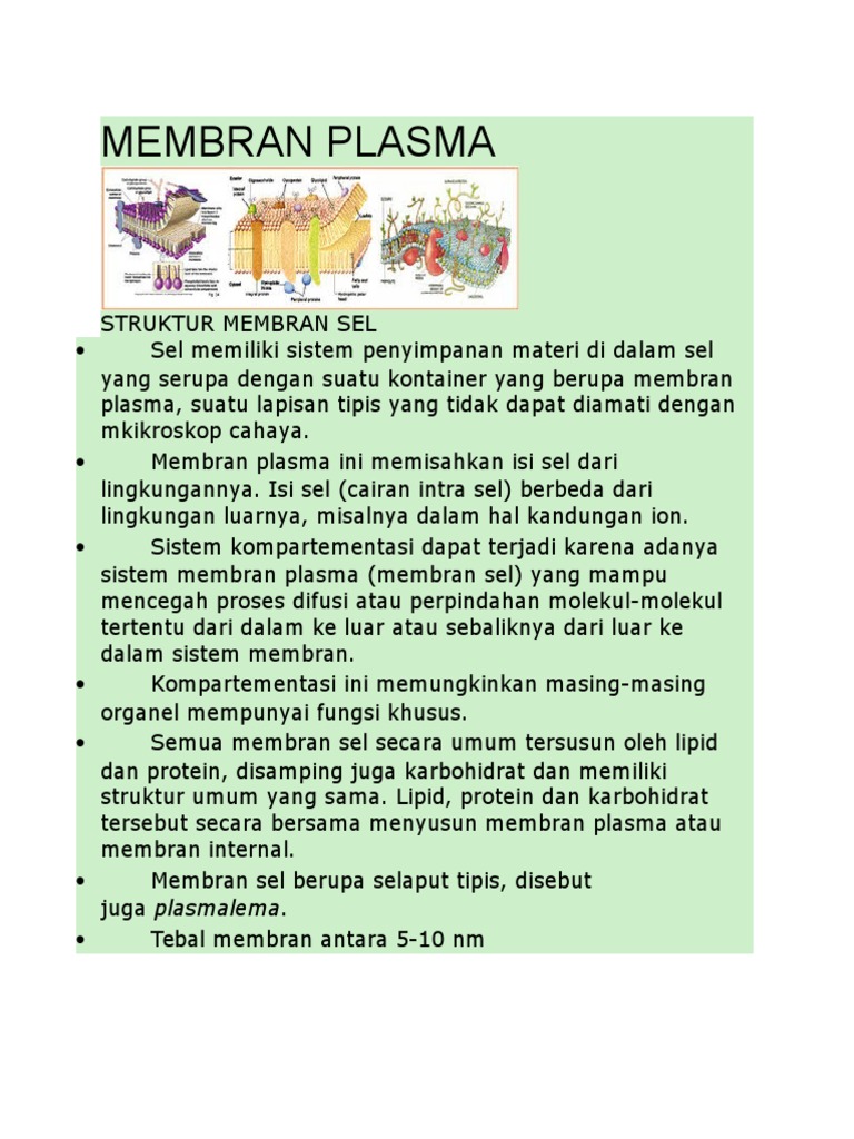 Anatomi - Membran Plasma | PDF