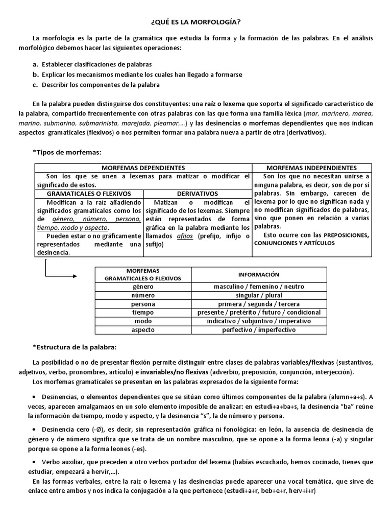 Analisis Morfologico | PDF | Numero Gramatical | Palabra