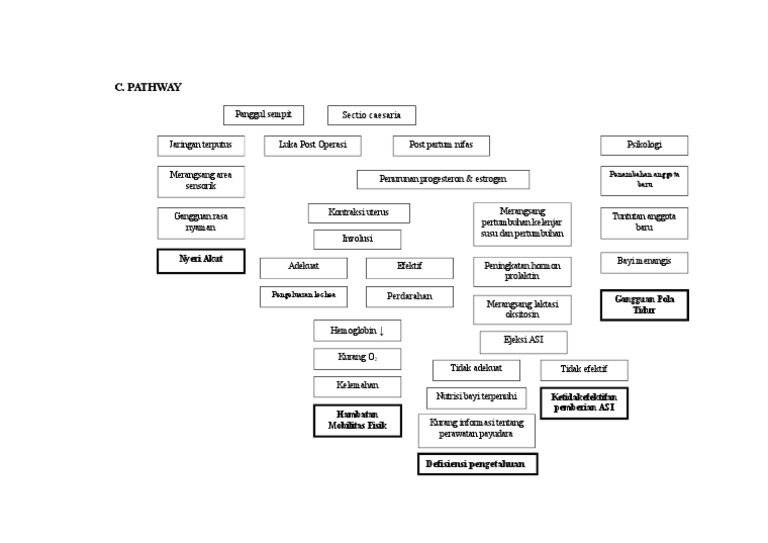 Pathway SC Fix | PDF