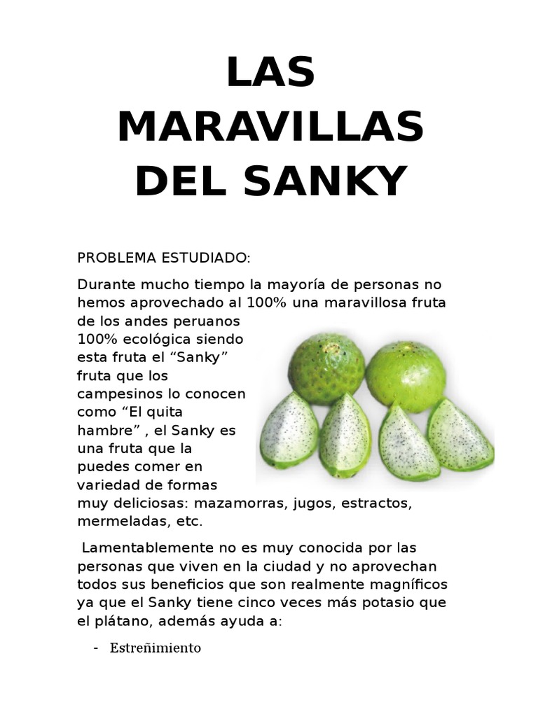 SANKY | Perú | Alimentos