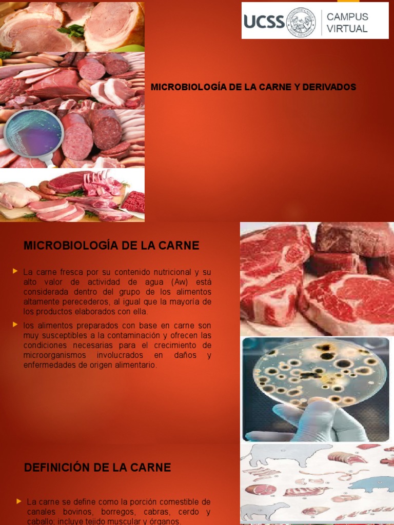 Microbiologia de La Carne | Carne | Alimentos | Prueba gratuita de 30 días | Scribd