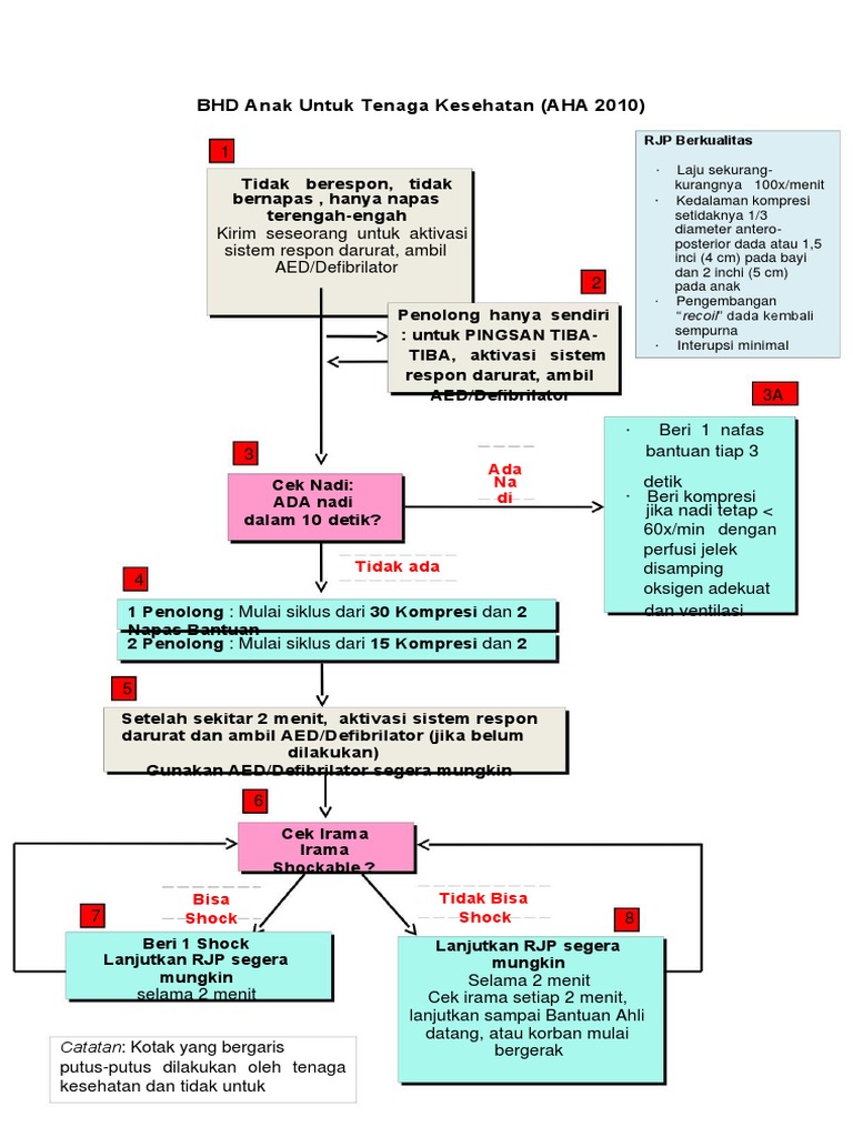 Bantuan Hidup Dasar Anak BE | PDF