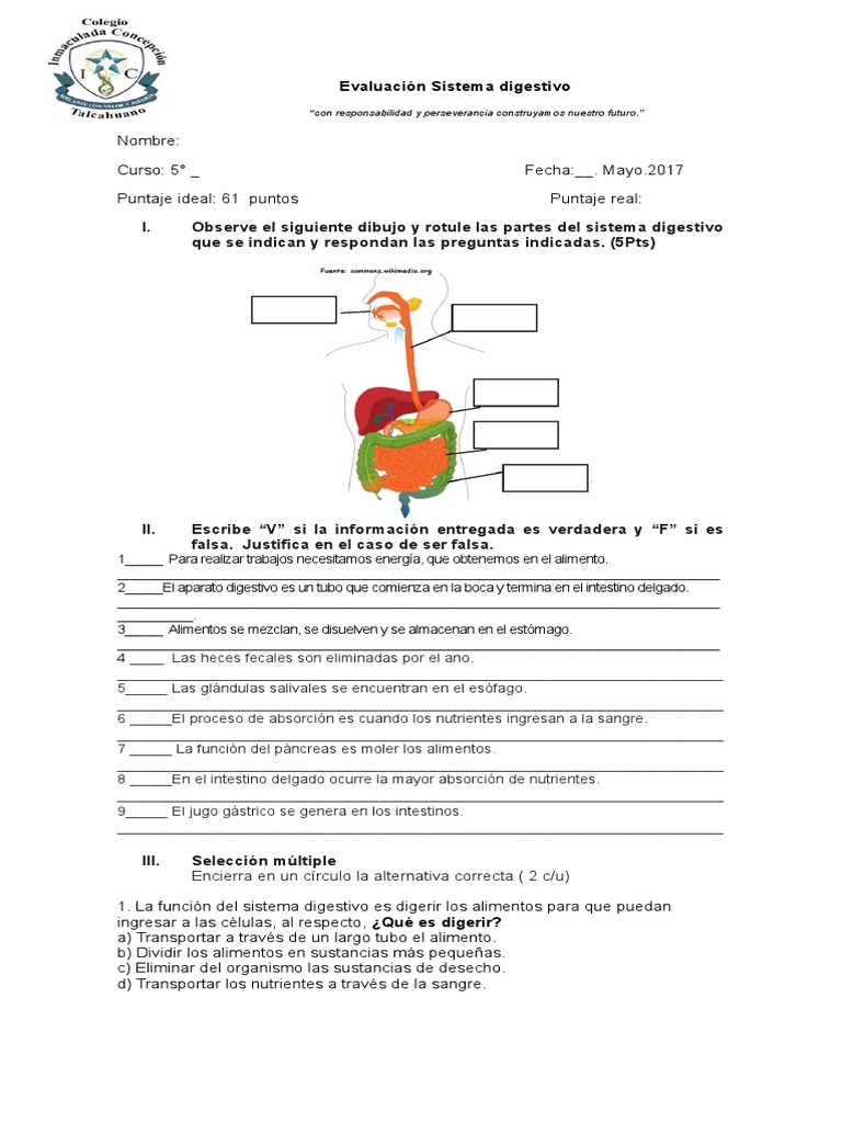 Evaluación Sistema Digestivo | Sistema digestivo humano | Digestión Evaluación Sistema Digestivo | Sistema digestivo humano | Digestión