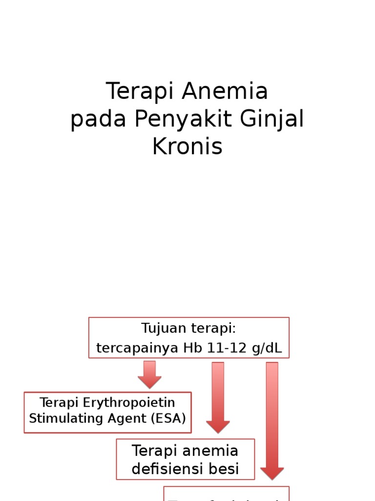 Terapi Anemia | PDF
