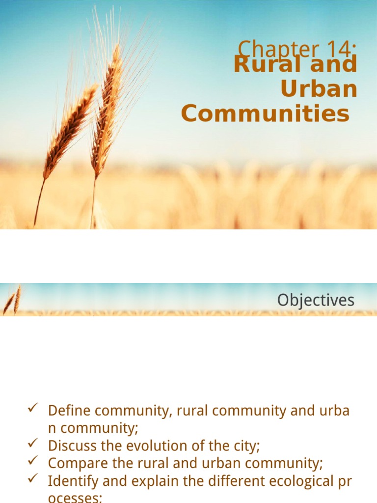 Chapter 14 Rural Urban Communities Pdf Social Mobility Urban