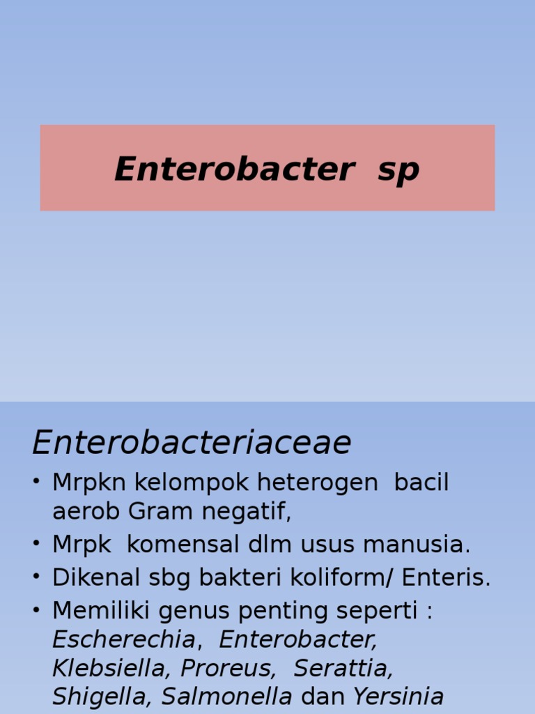 Enterobacter SP Mikrobiologi | PDF