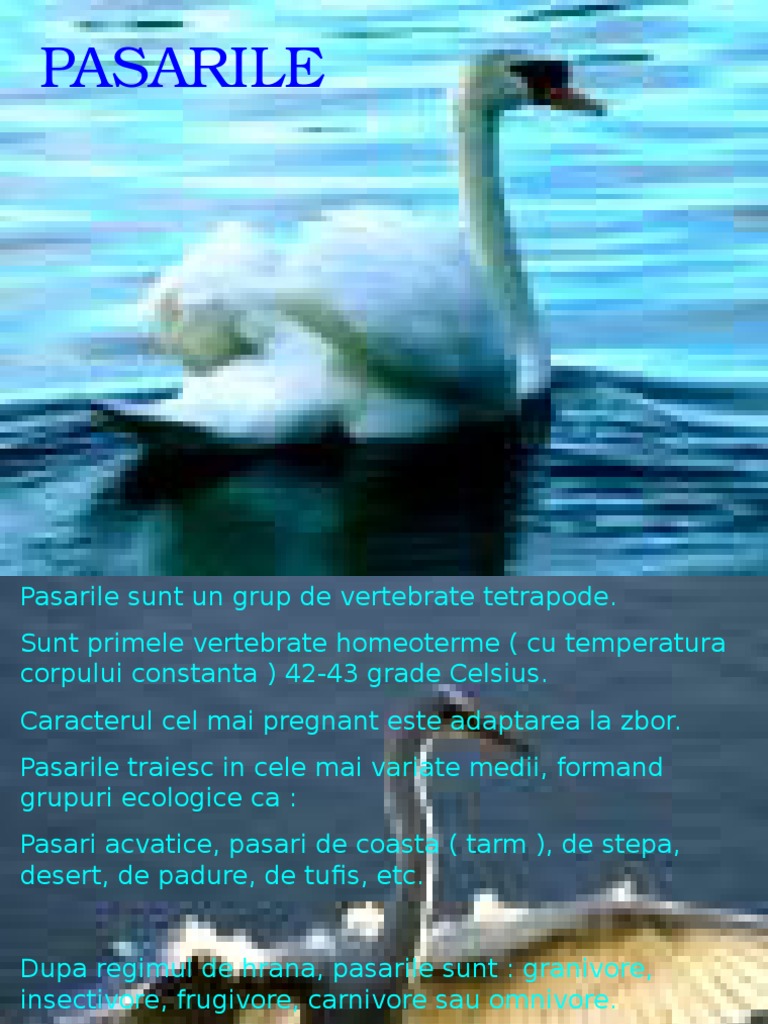 Pasarile | PDF