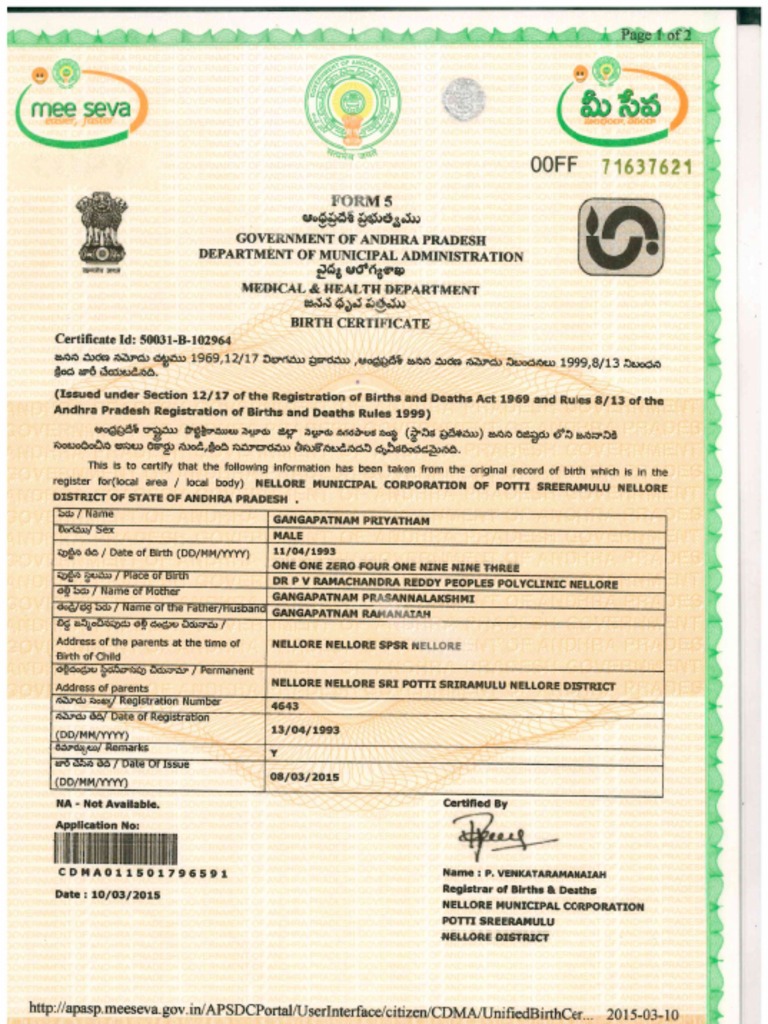 Birth Certificate | PDF