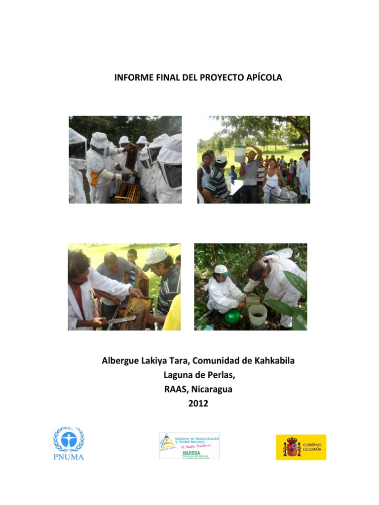 Informe Tecnico Final Del Proyecto Apicola | PDF | Apicultura | Colmena Informe Tecnico Final Del Proyecto Apicola | PDF | Apicultura | Colmena
