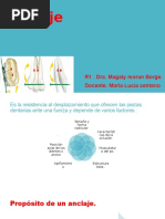 Tipping y Torque en Ortodoncia | PDF | Especialidades Medicas | Ramas ...