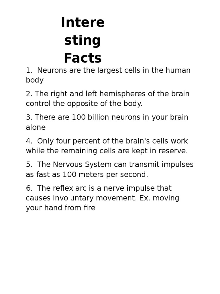 Interesting Facts | PDF
