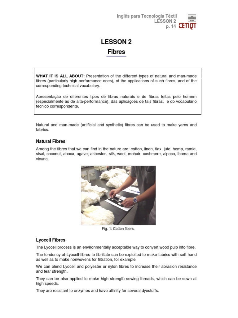 Lesson 2 Fibres: WHAT IT IS ALL ABOUT: Presentation of The Different ...