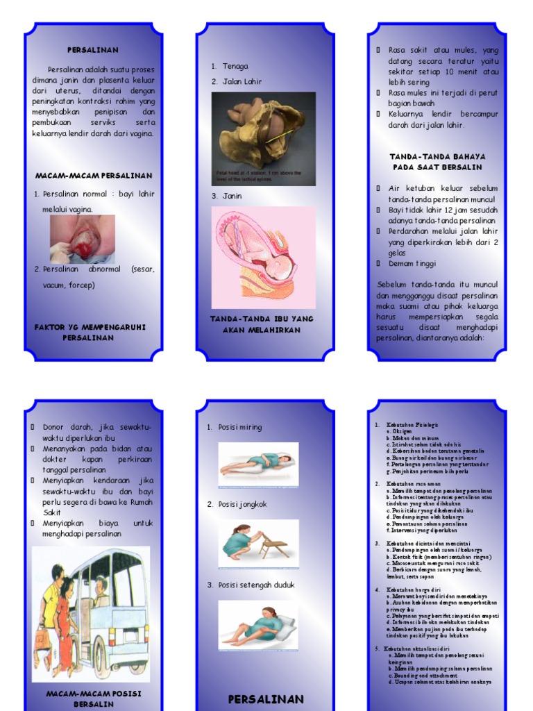 Leaflet Ber Salin | PDF