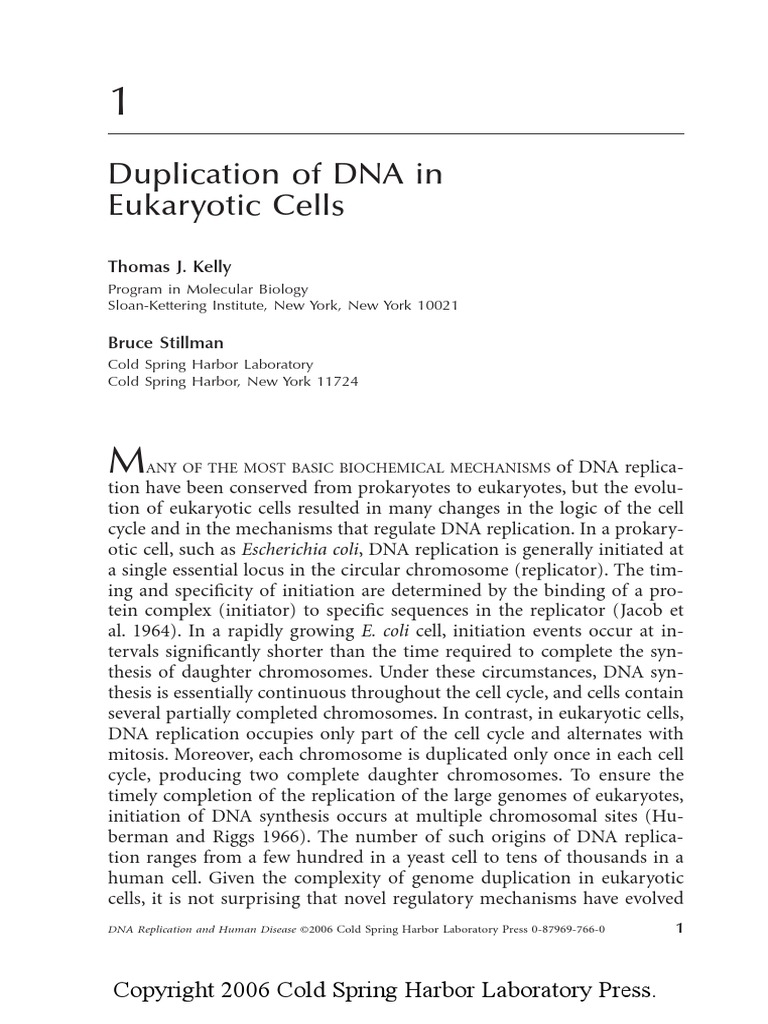 Duplication of DNA in Eukaryotic Cells: Thomas J. Kelly | PDF | Dna ...