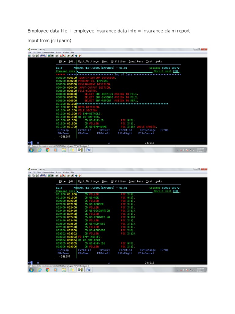 Employee Data File Insurance | PDF | Computing | Software