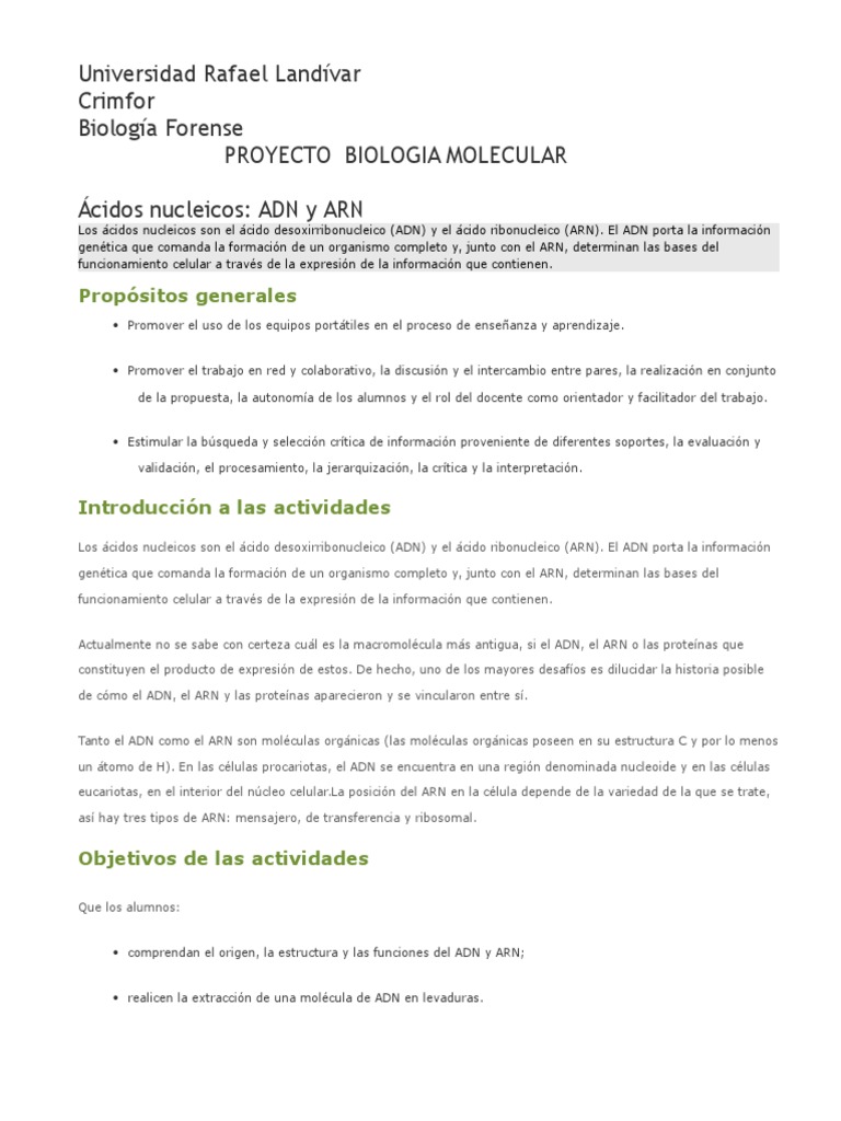 Proyecto Adn Arn | PDF | Adn | Rna