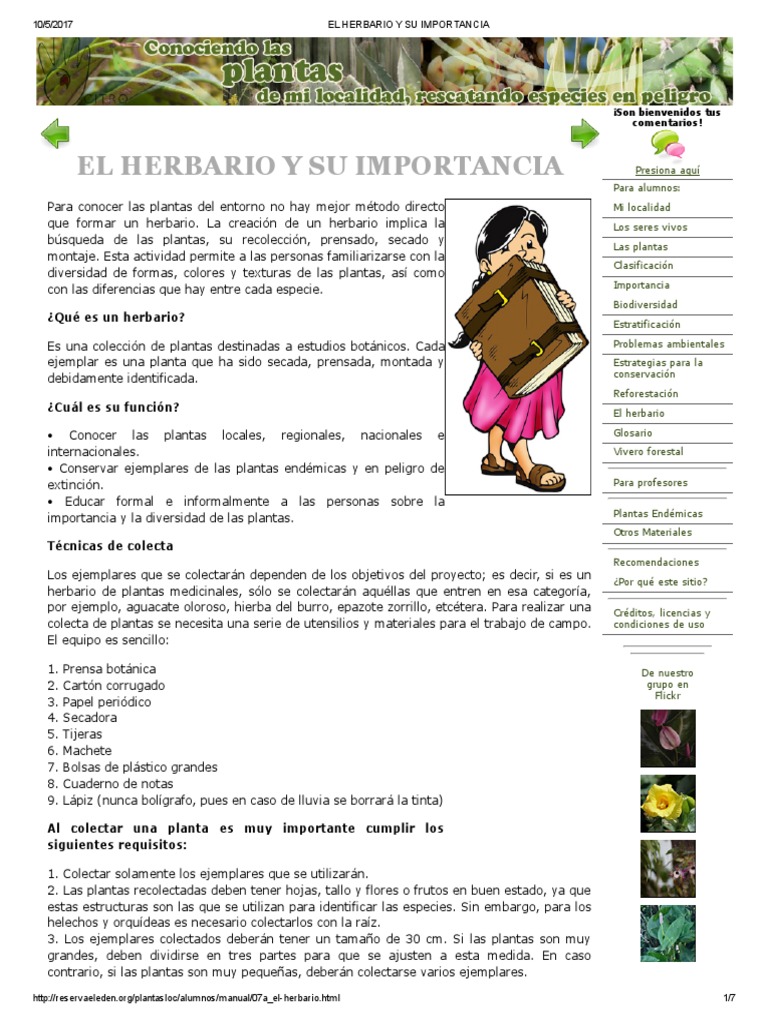 El Herbario y Su Importancia | Plantas | Botánica