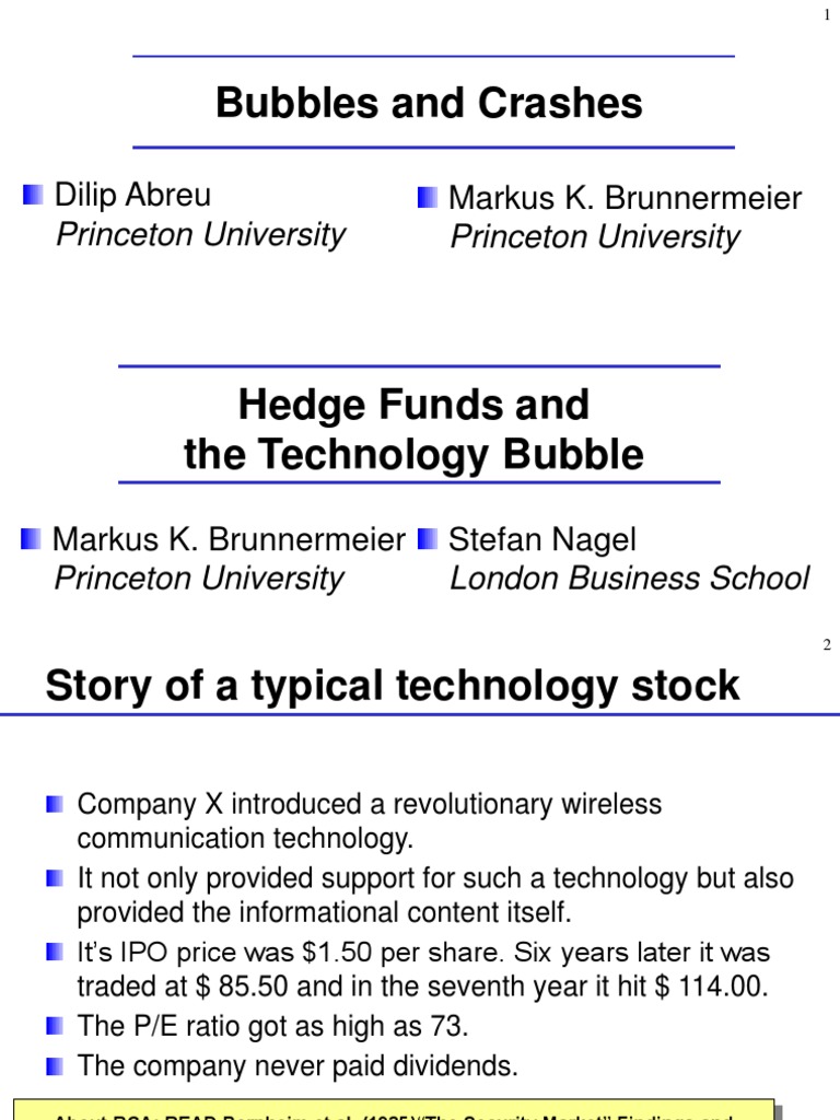 Bubbles Crashes Slides | PDF | Economic Bubble | Hedge Fund