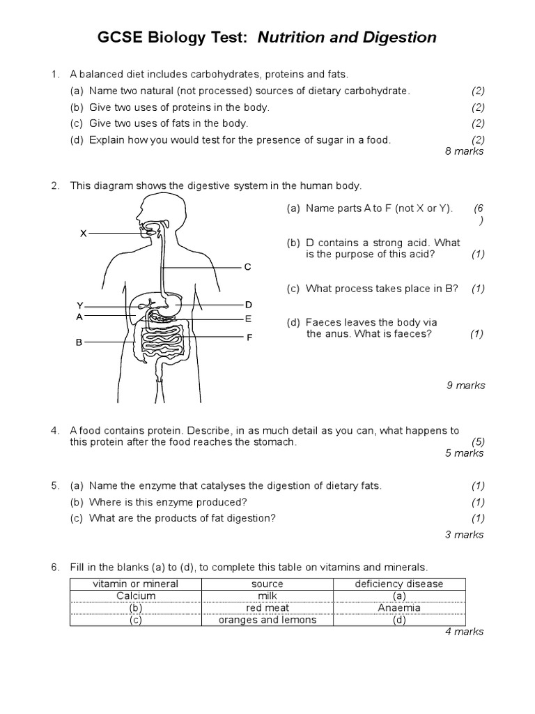 CSEC Biology - Digestion Test | PDF | Digestion | Nutrition
