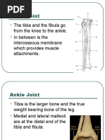 Invertogram Technique and Interpretation | PDF | Pelvis | Anatomy