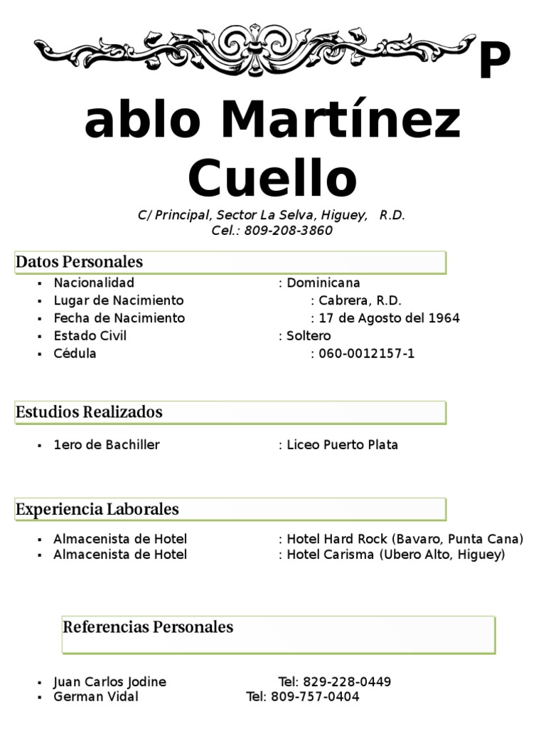 Curriculum Pablo Martinez Cuello | PDF