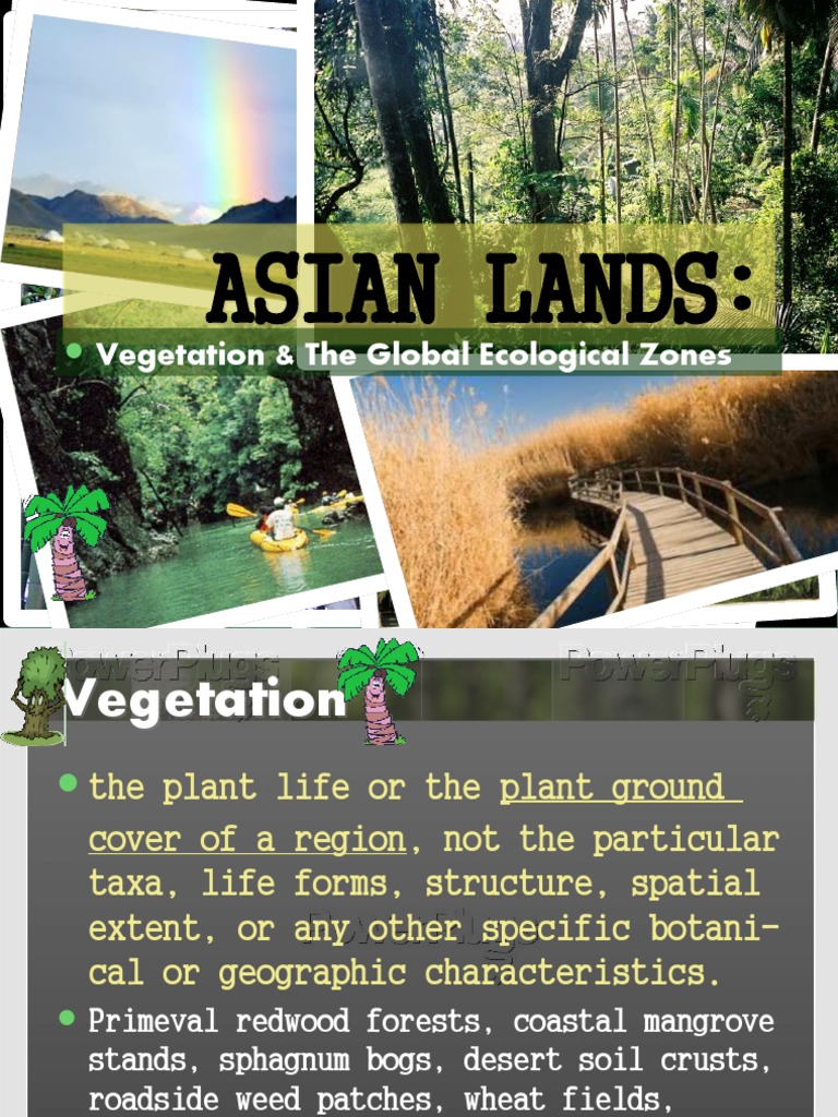 Asia's Diverse Vegetation Types | PDF | Forests | Rainforest