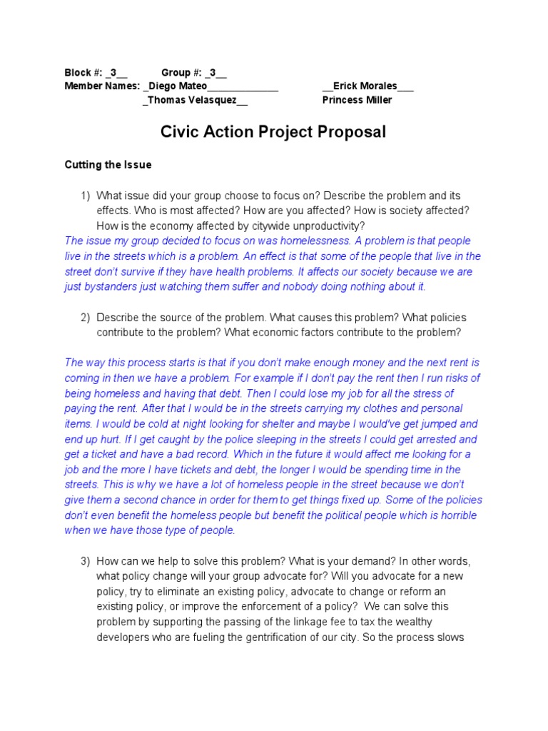 Civic Action Project Proposal: Cutting The Issue | PDF | Homelessness ...