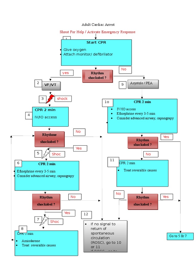 Adult Cardiac Arrest Algoritma | Cardiopulmonary Resuscitation ...