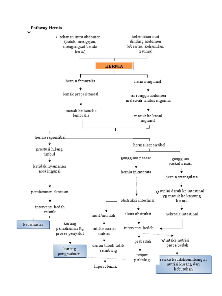 Pathway Hernia | PDF