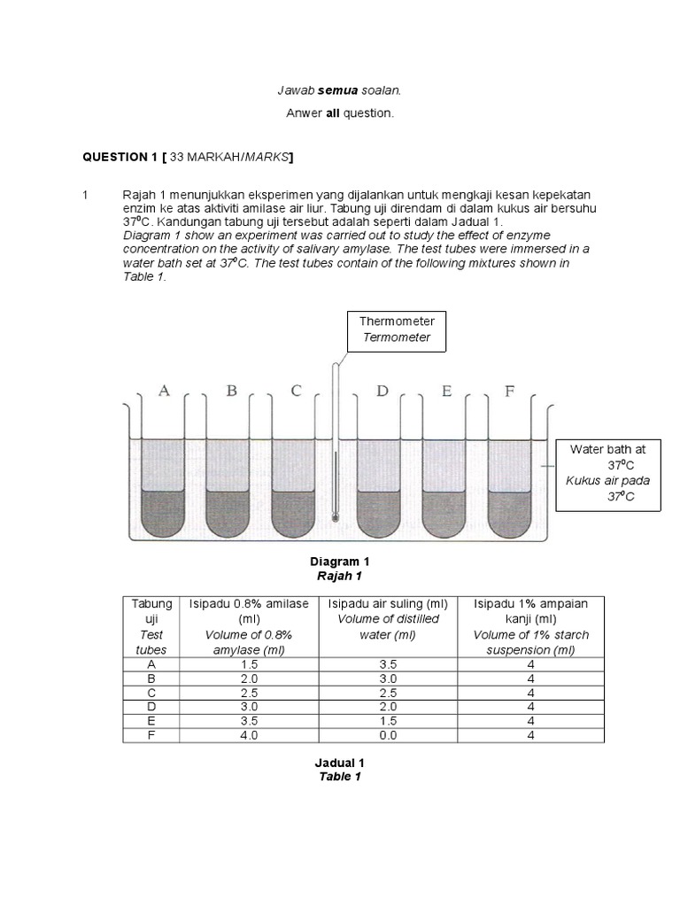F4 Bio Kertas 3 | PDF