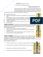 Tipos de Riser | PDF | Tubería (transporte de fluidos) | Submarinos