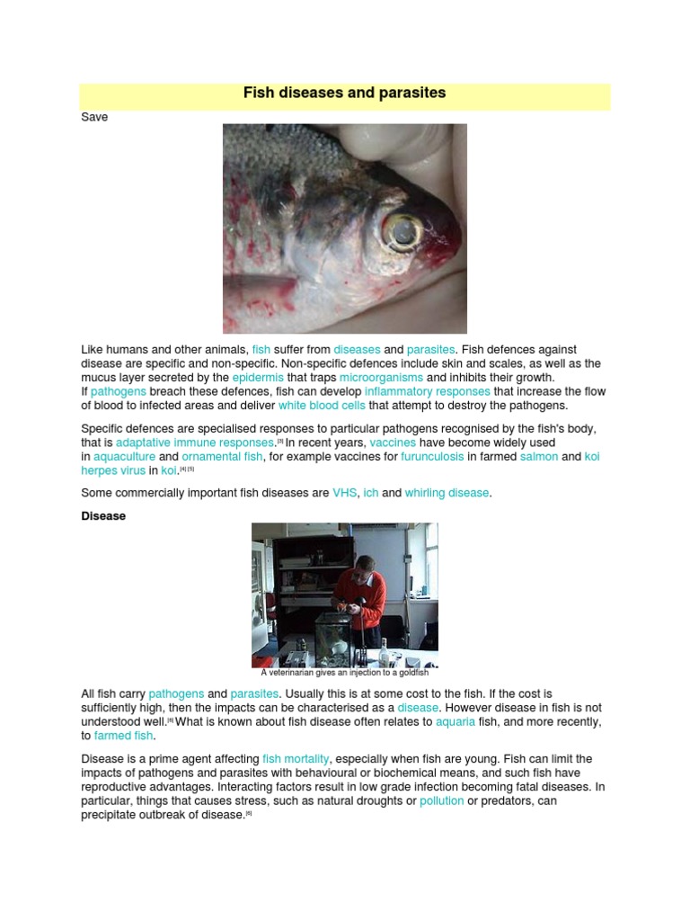 Fish Diseases and Parasites | Infection | Public Health