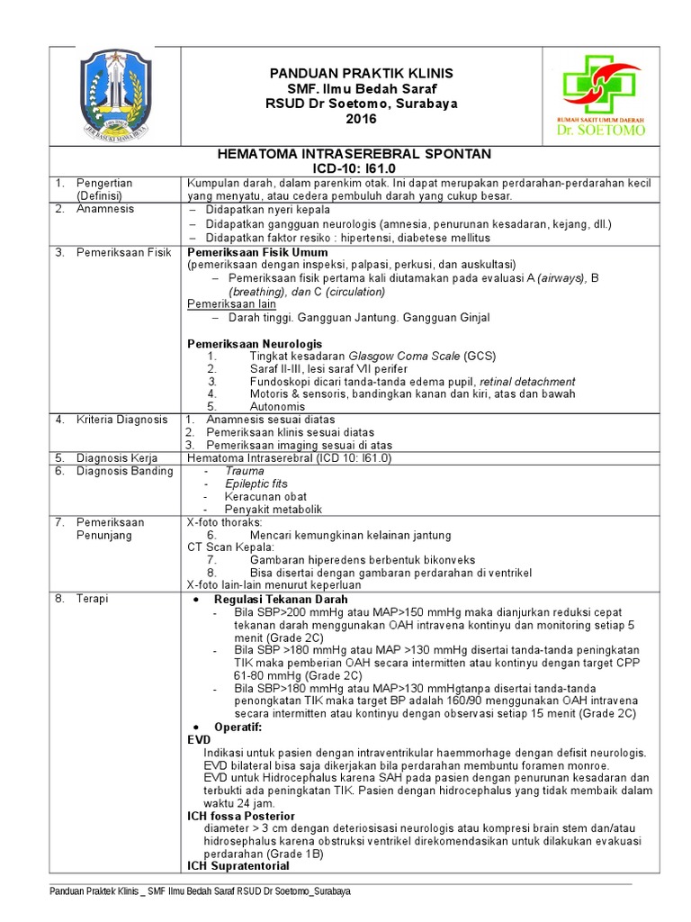 PPK Stroke Ich | PDF