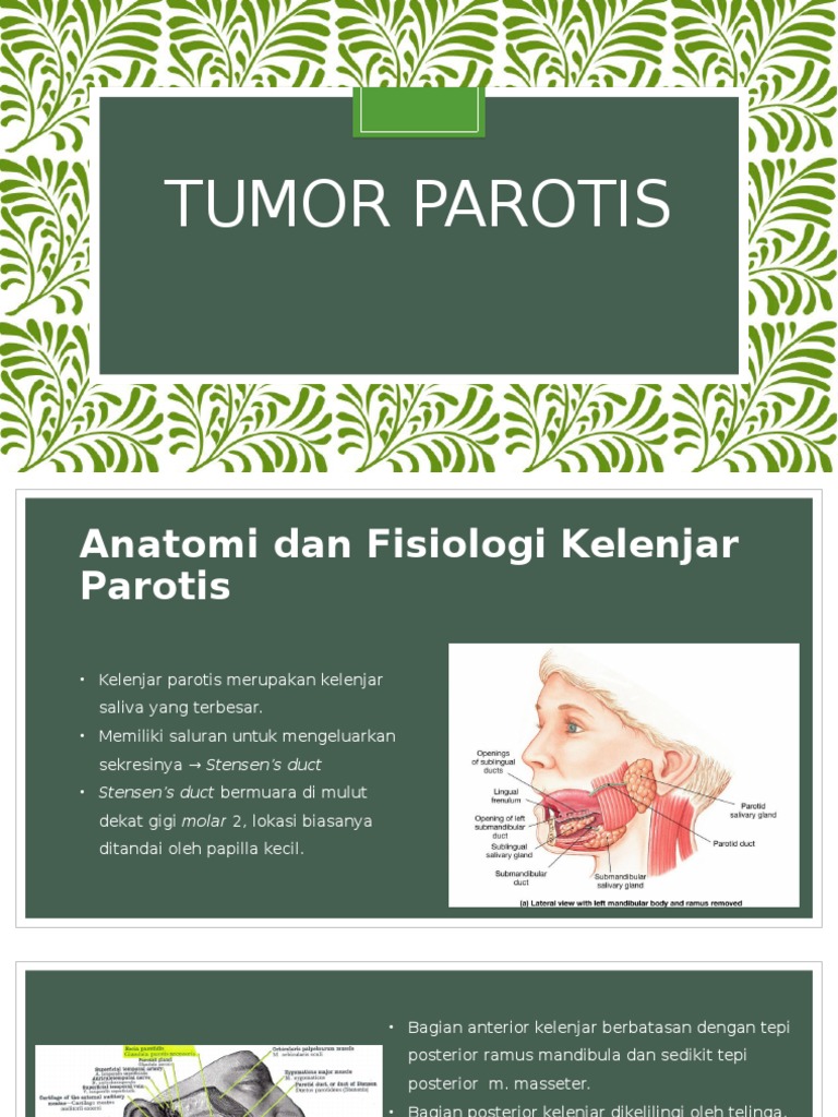 Tumor Parotis | PDF
