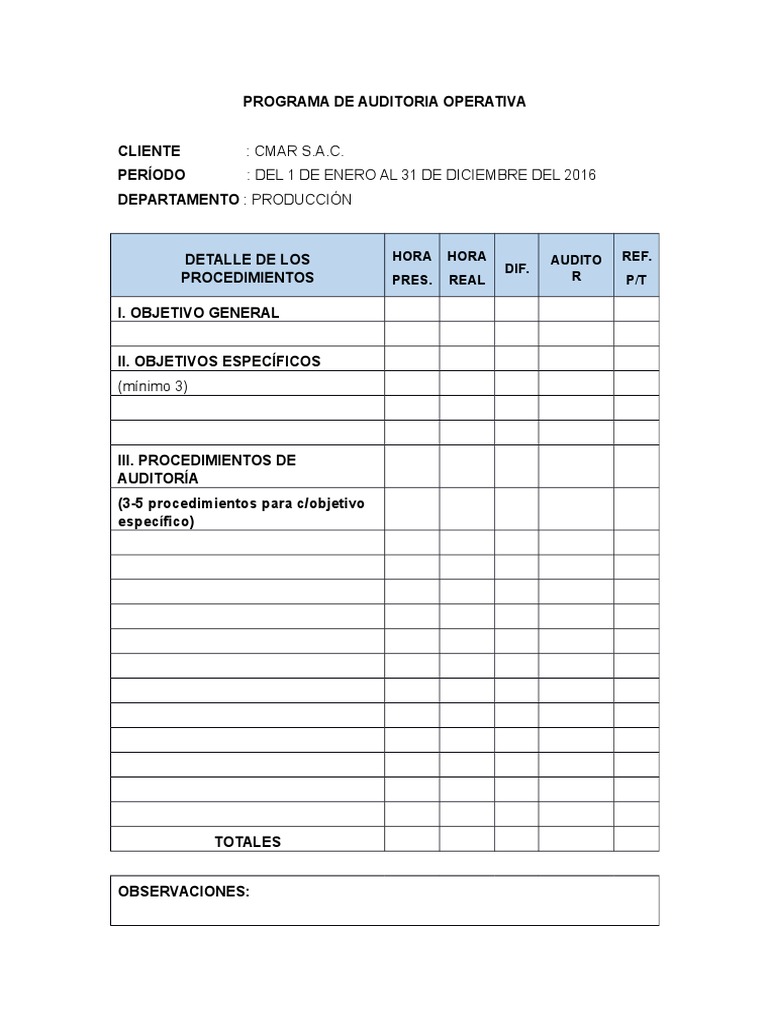 Programa de Auditoria Operativa Formato | PDF